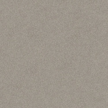 Carpet - Metro Hardwood Floors