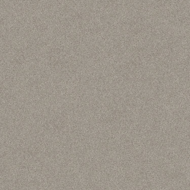 Carpet - Metro Hardwood Floors